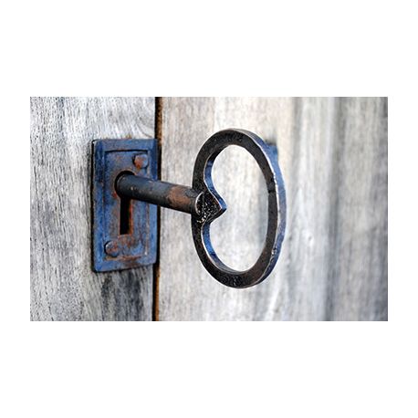 Transyl - dégrippant lubrifiant - 250 ml - Manubricole | manubricole.com